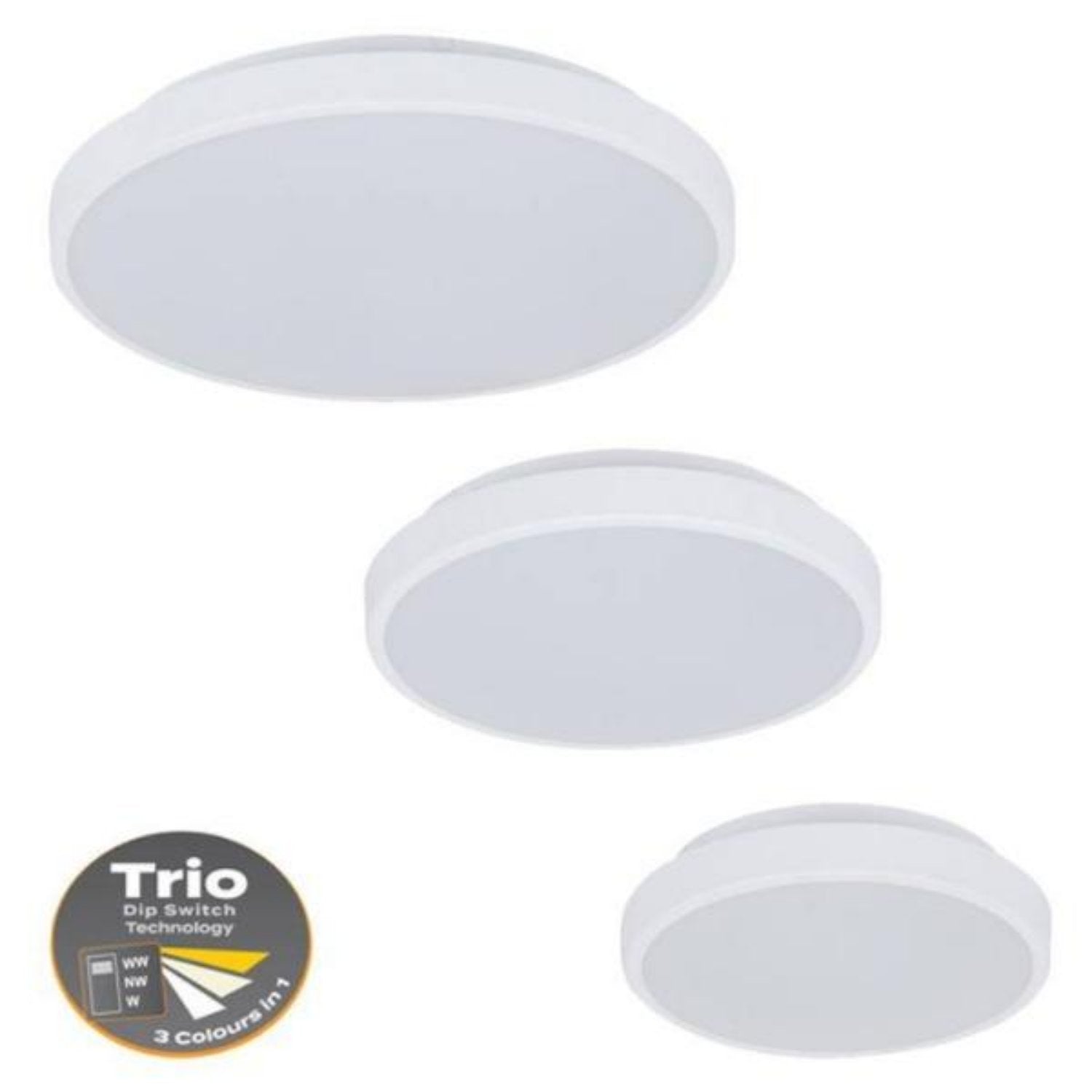 Domus Lighting 20954-DOMUS | Easy Surface Mounted LED