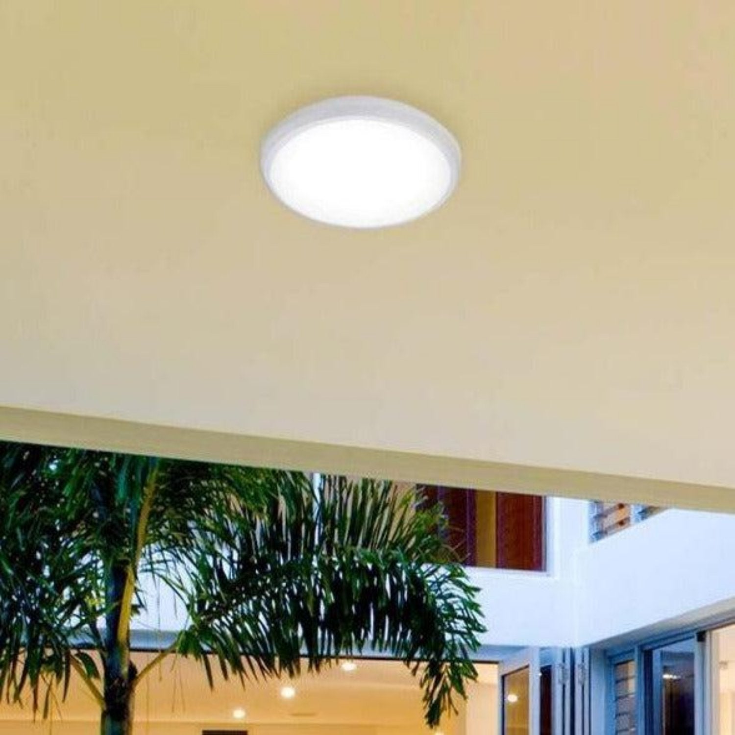 Martec Lighting TLEO34515WD | LED Eclipse Oyster Light