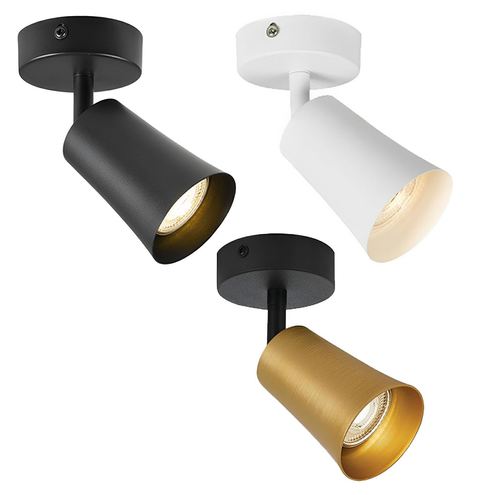 Telbix Lighting ALVEY SP1-BK | Alvey LED Spot Light in