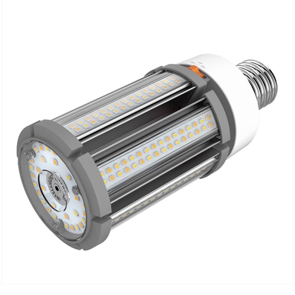 Vibe Lighting VBLG-ES-36W-PA-CCT | 36w E27 LED Globe